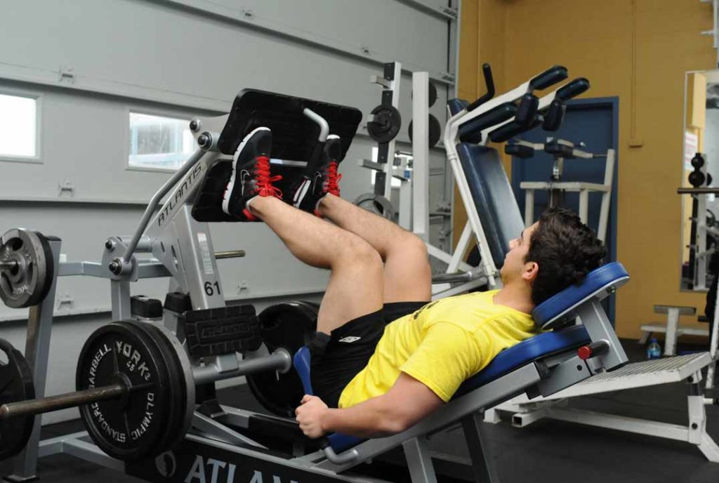 A Beginner’s Workout Routine to Build Muscle | LivingHours