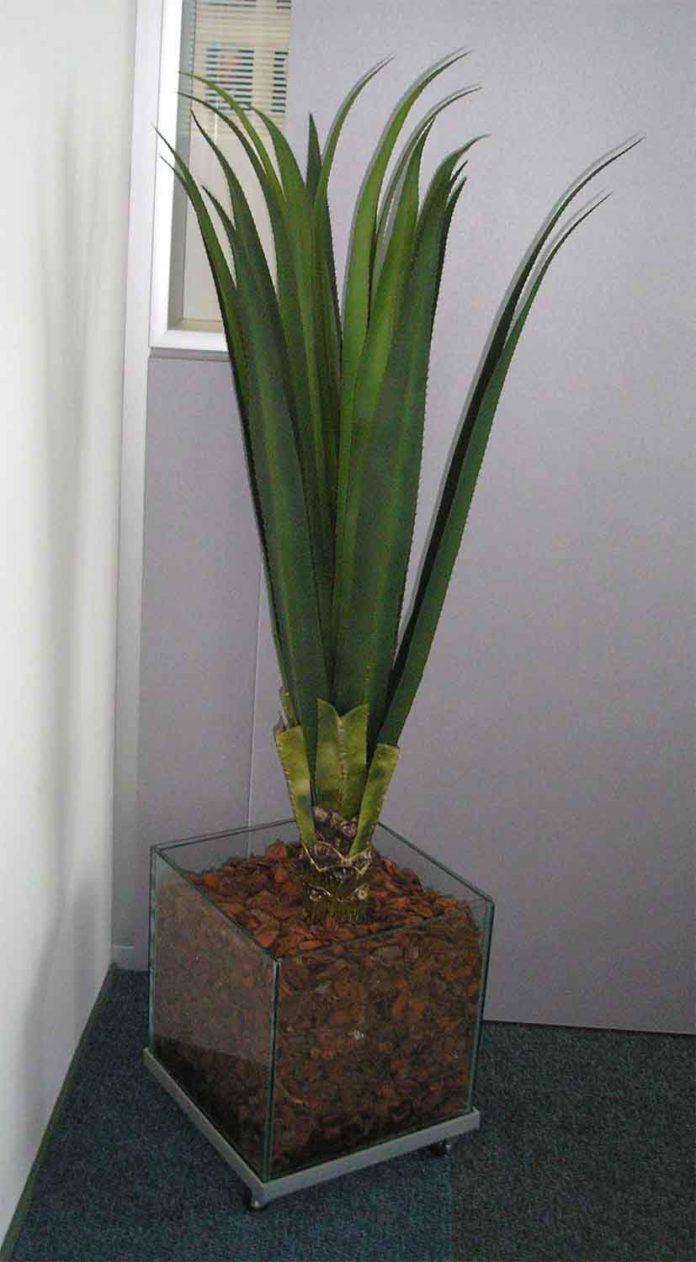 Artificial Plants To Redecorate Your Home | LivingHours
