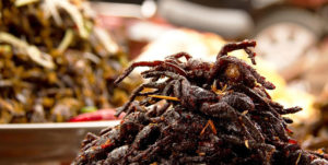 16 Most Disgusting Foods Which Some People Love to Eat But You Cannot