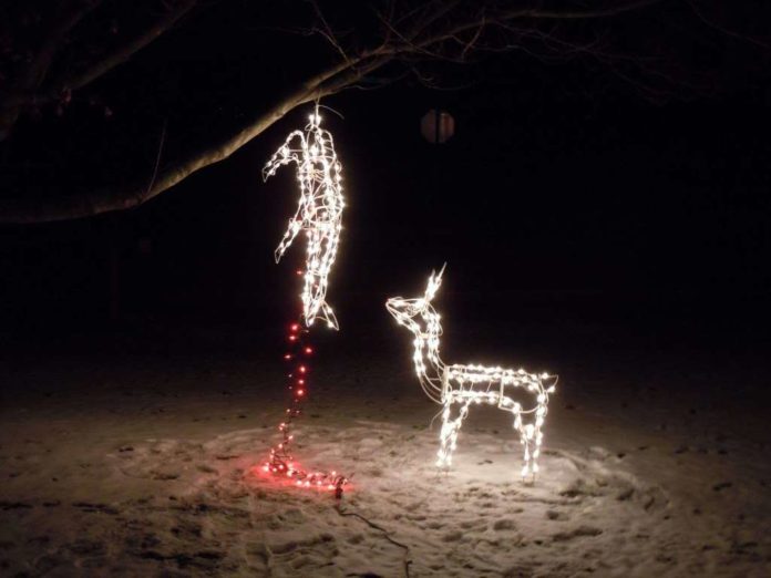 18 Funny Christmas Decorations That Will Make You LOL Hard!
